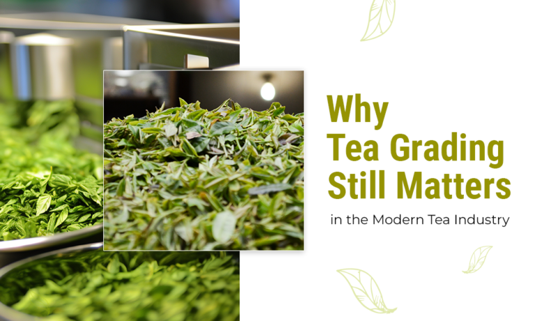 Ensuring Tea Quality, Transparency with NTC’s Tea Grading